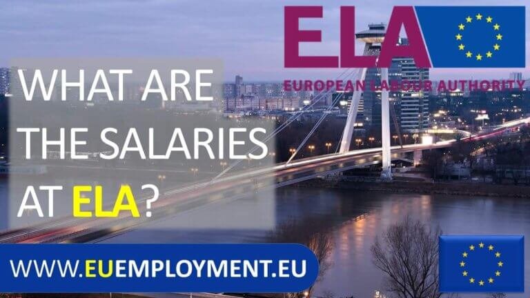 Job opportunities in EU agencies > European Union Employment Advisor